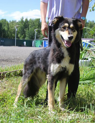 Джон в добрые руки