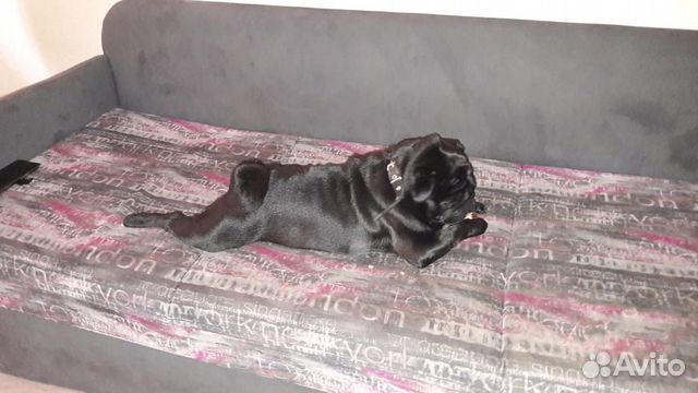 Милый малыш ждёт семью