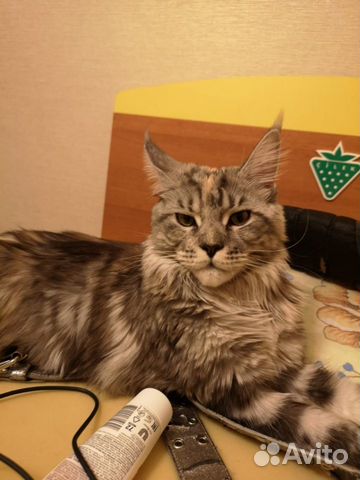 Вязка