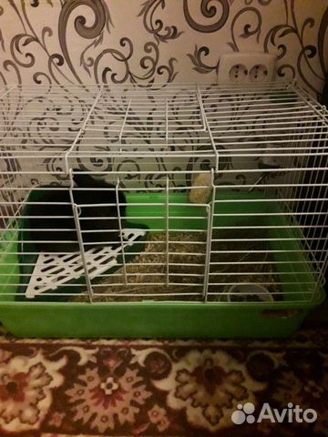 Кролик с клеткой