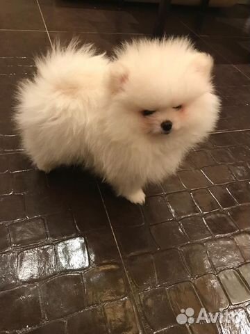 Для ценителей