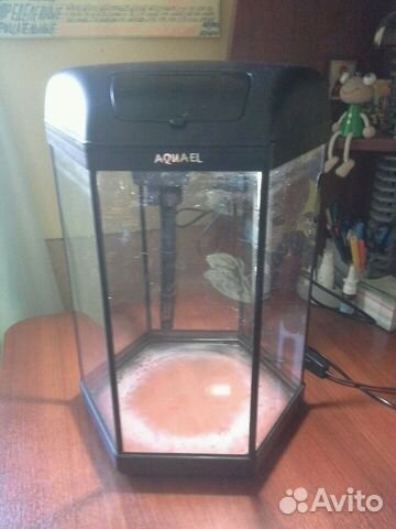 Аквариум