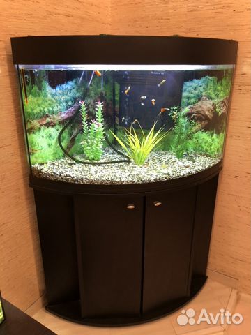 Аквариум 180 литров Dubai