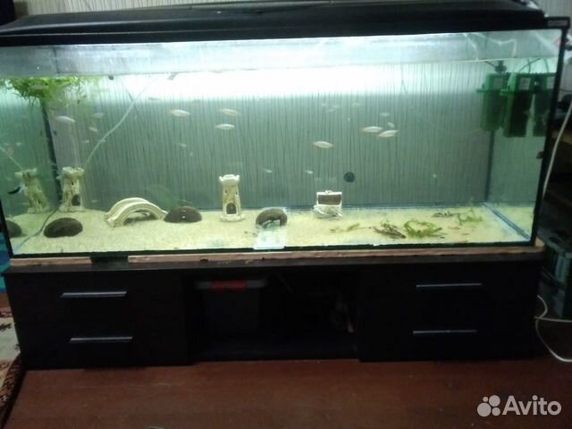 Аквариум 460 литров