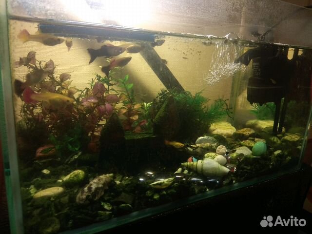 Аквариум в сборе