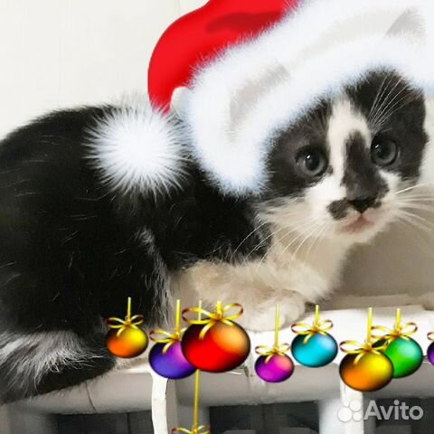 Новогодний гномик