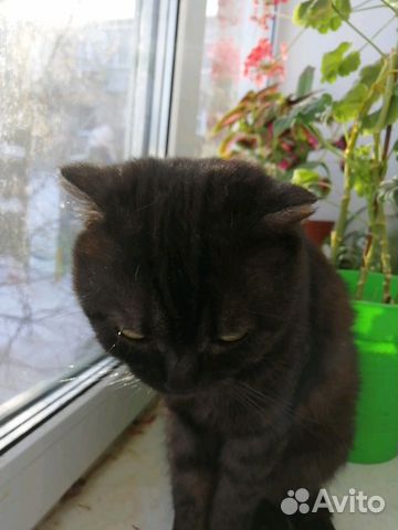 Вязка