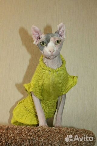 Девушка эльф на диван