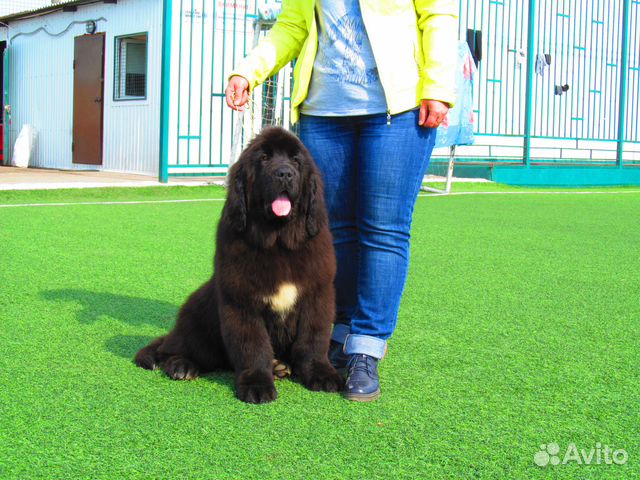 Очаровательная Ирма