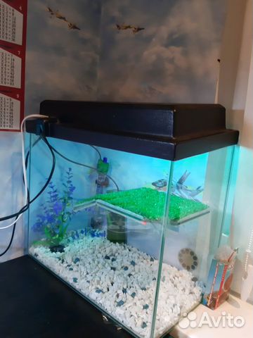 Черепашник все в комплекте