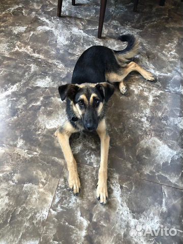 Прелестная девочка