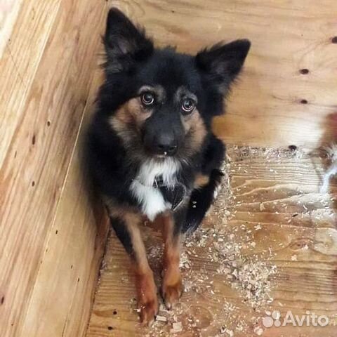 Джуля ищет свою семью