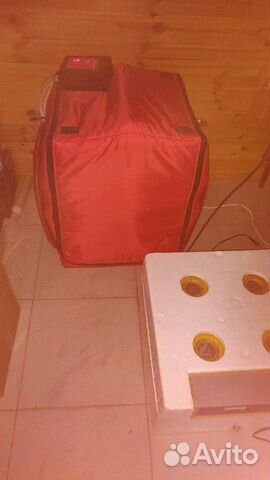 Бролерные цыплята Кобб 500