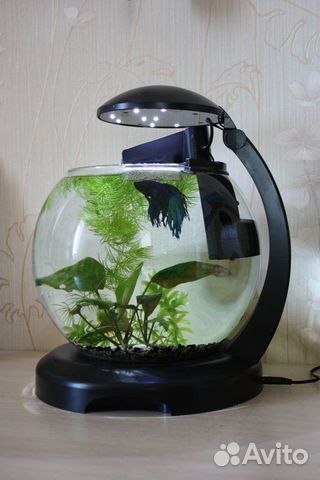 Аквариум Tetra Cascade Globe