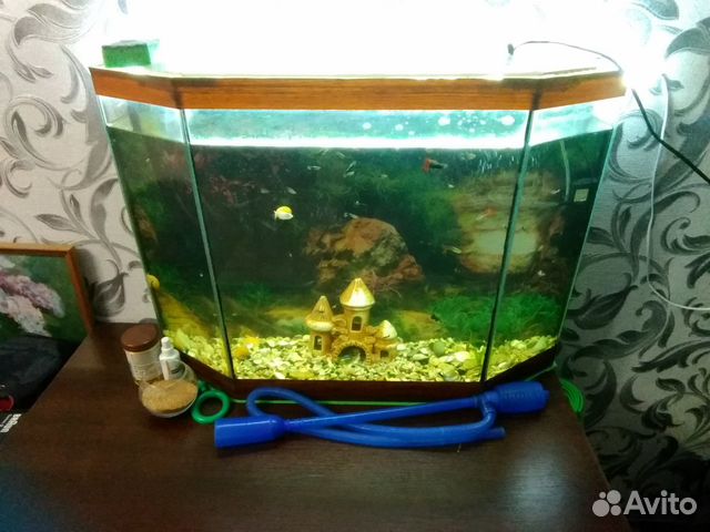 Аквариум целиком и полностью+гуппи и ампулярии
