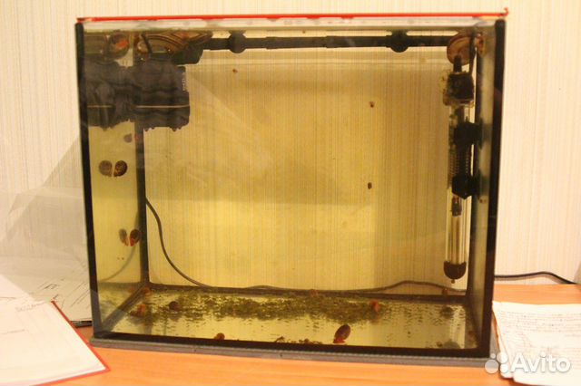 Аквариум 22 литра