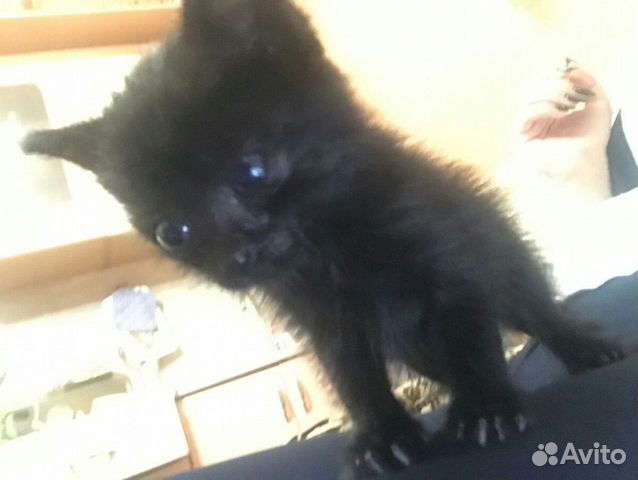 Жду маму и папу