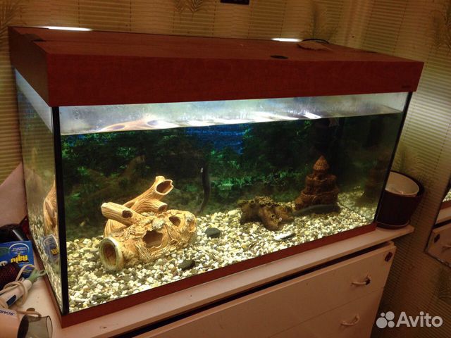 Аквариум аква плюс 100литров