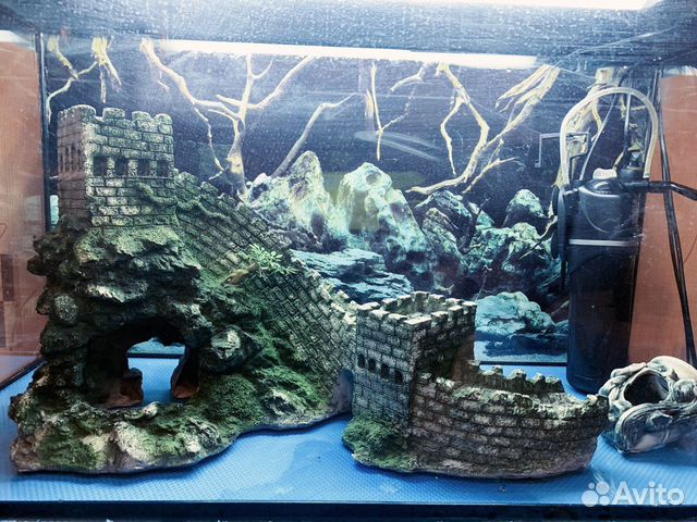 Аквариум 100 л