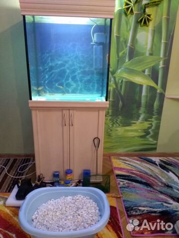Аквариум 150 л. с Тумбой комплект