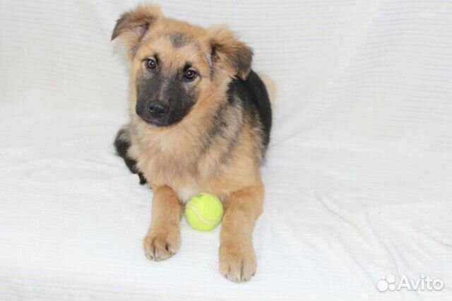 Красотка 4 месяца