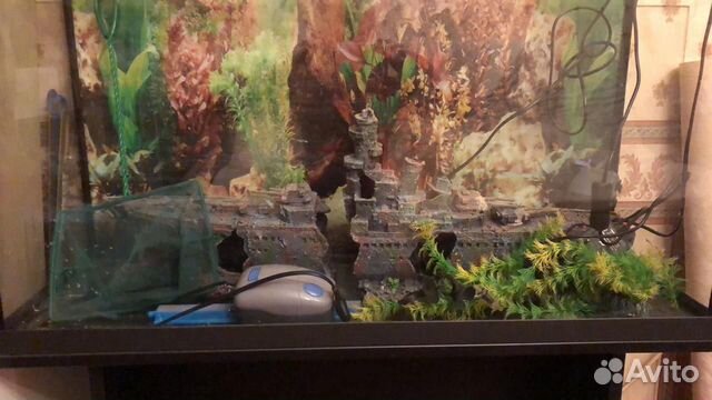 Аквариум + тумба