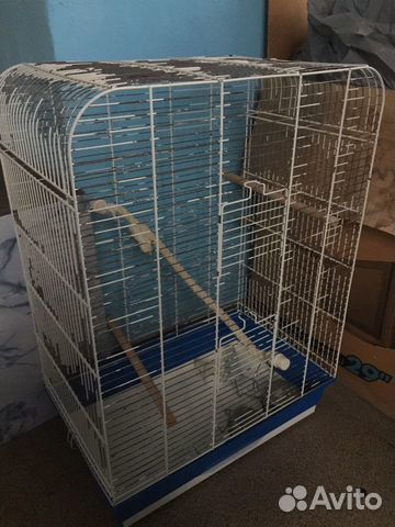 Клетка