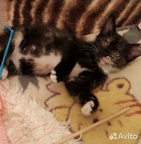 Удивительная девочка