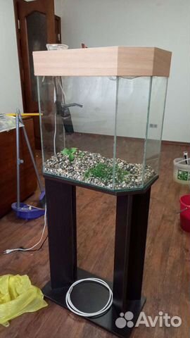 Аквариум с подставкой, фильтрами, светом и кормом