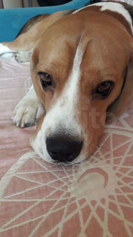 Ищем подружку