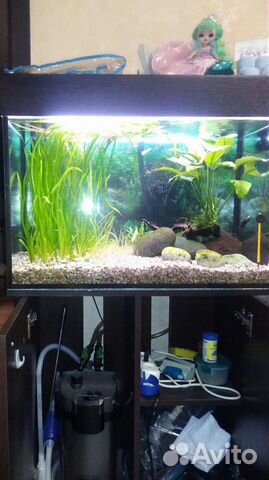 Аквариум 110л. закрытый С тумбой