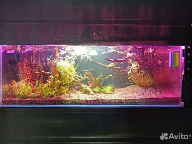 Готовый аквариум 40 литров