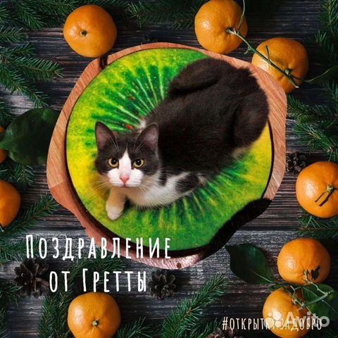 Гретта из Питера