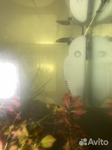 Фильтр для аквариума внутренний