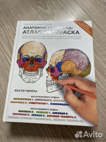 Анатомия человека. Атлас-раскраска Элсон Кэпит 11... купить в Санкт ...