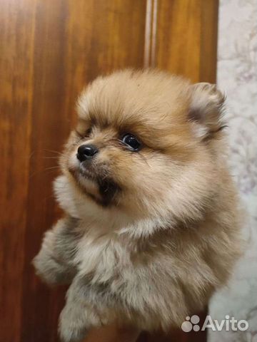 Маленькое Солнышко