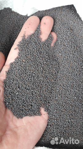 Грунт для аквариумов, растения