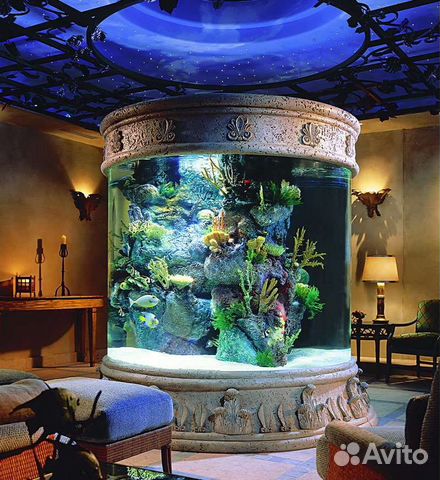 Аквариум под ключ