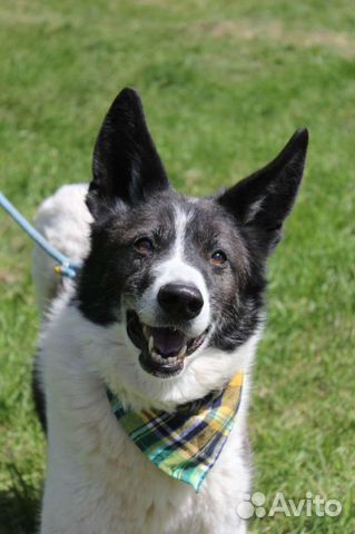 Боится верить людям они зло