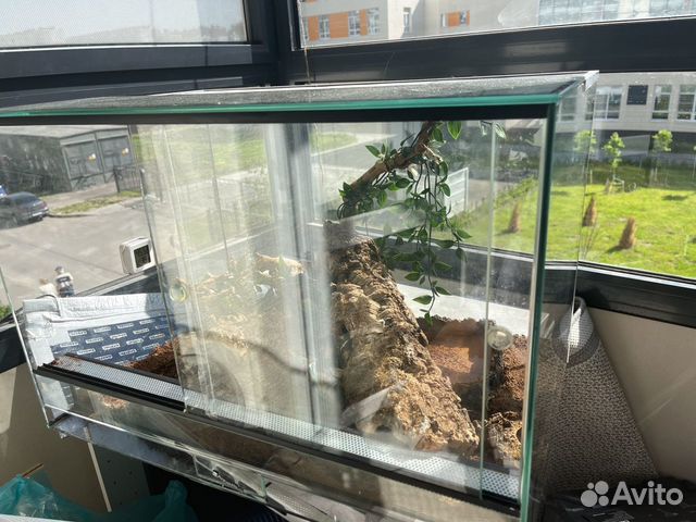 Террариум со всем необходимым