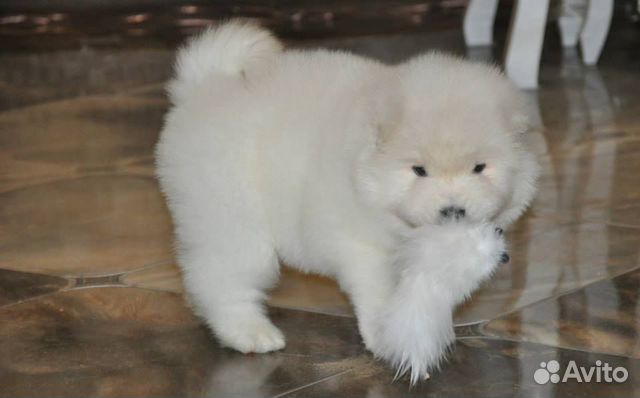 Супердетки