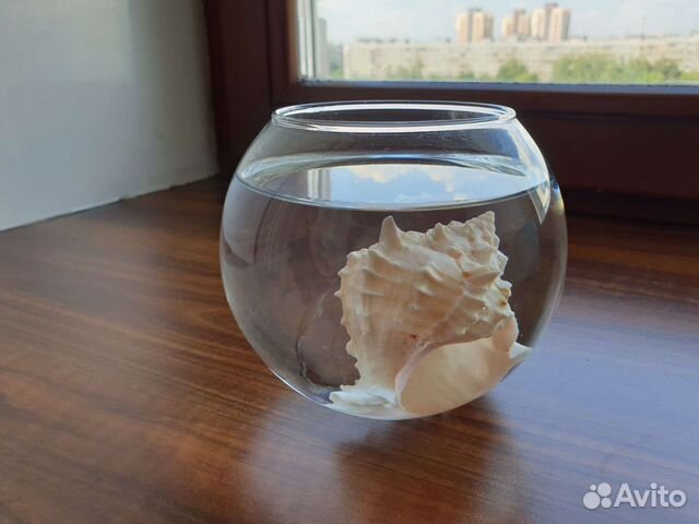 Аквариум или стеклянная ваза 700 мл новая