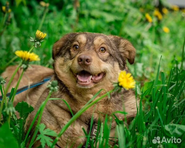 Маруся ищет свою семью