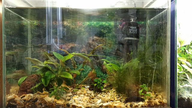 Аквариум 18-20л